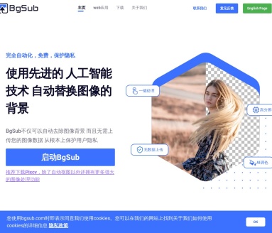 BgSub:免费的保护隐私的AI图片背景去除工具(bgsub.cn) - AI工具